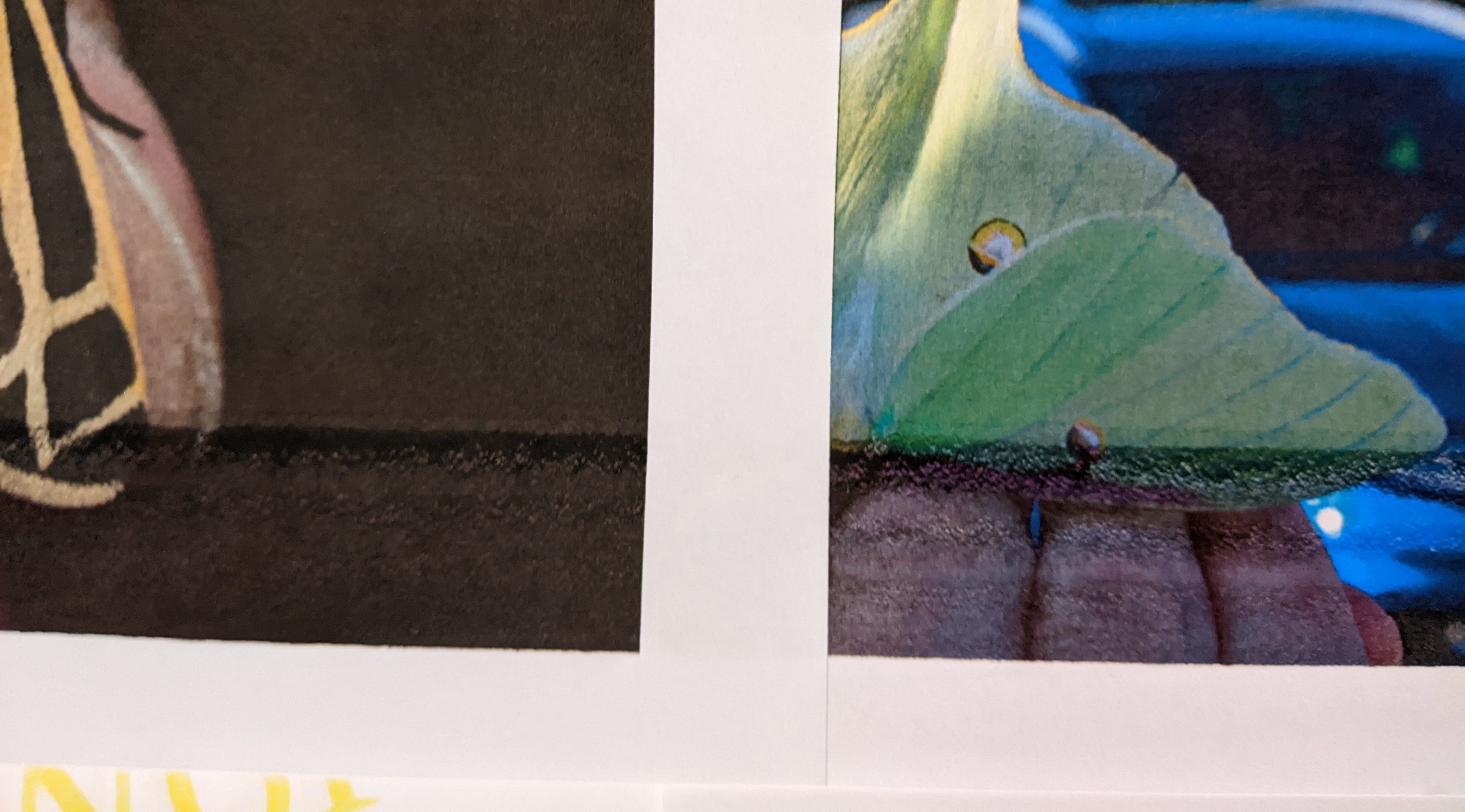 HP M479fdw Toner smear : r/printers